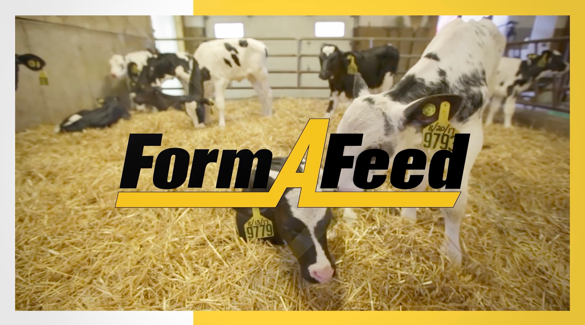 Marketing Form A Feed Stringline Pictures