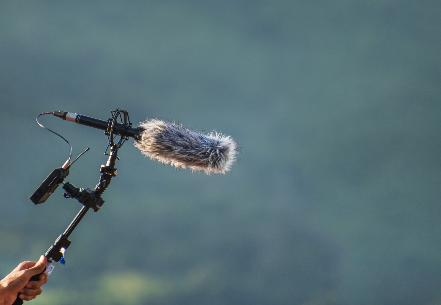 Film Equipment: Everything A Filmmaker Needs To Get Started